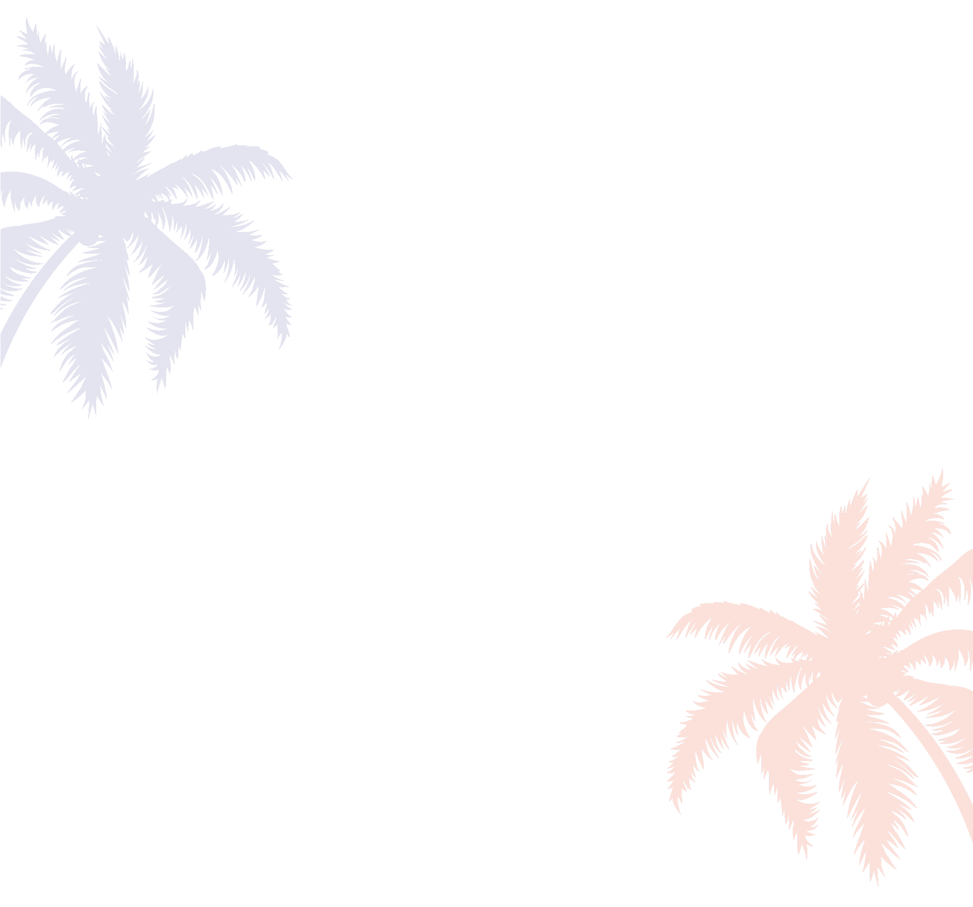 Levinsky Market | Bhuka Tours